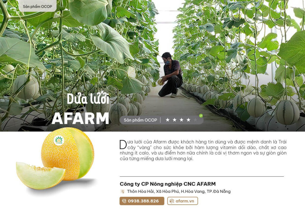 Dưa lưới Afarm – Sản Phẩm OCOP Đà Nẵng - Cổng thông tin du lịch thành ...