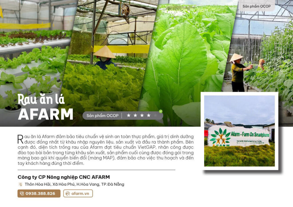 Rau ăn lá AFARM – Sản Phẩm OCOP Đà Nẵng - ダナンファンタスティシティ - ダナン市観光情報ポータル