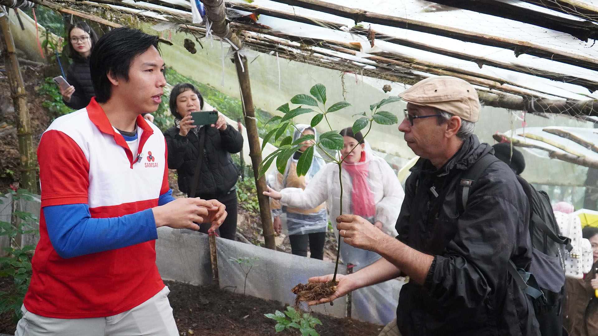 Phát triển Trà Linh thành vùng dược liệu trọng điểm của miền Trung ...