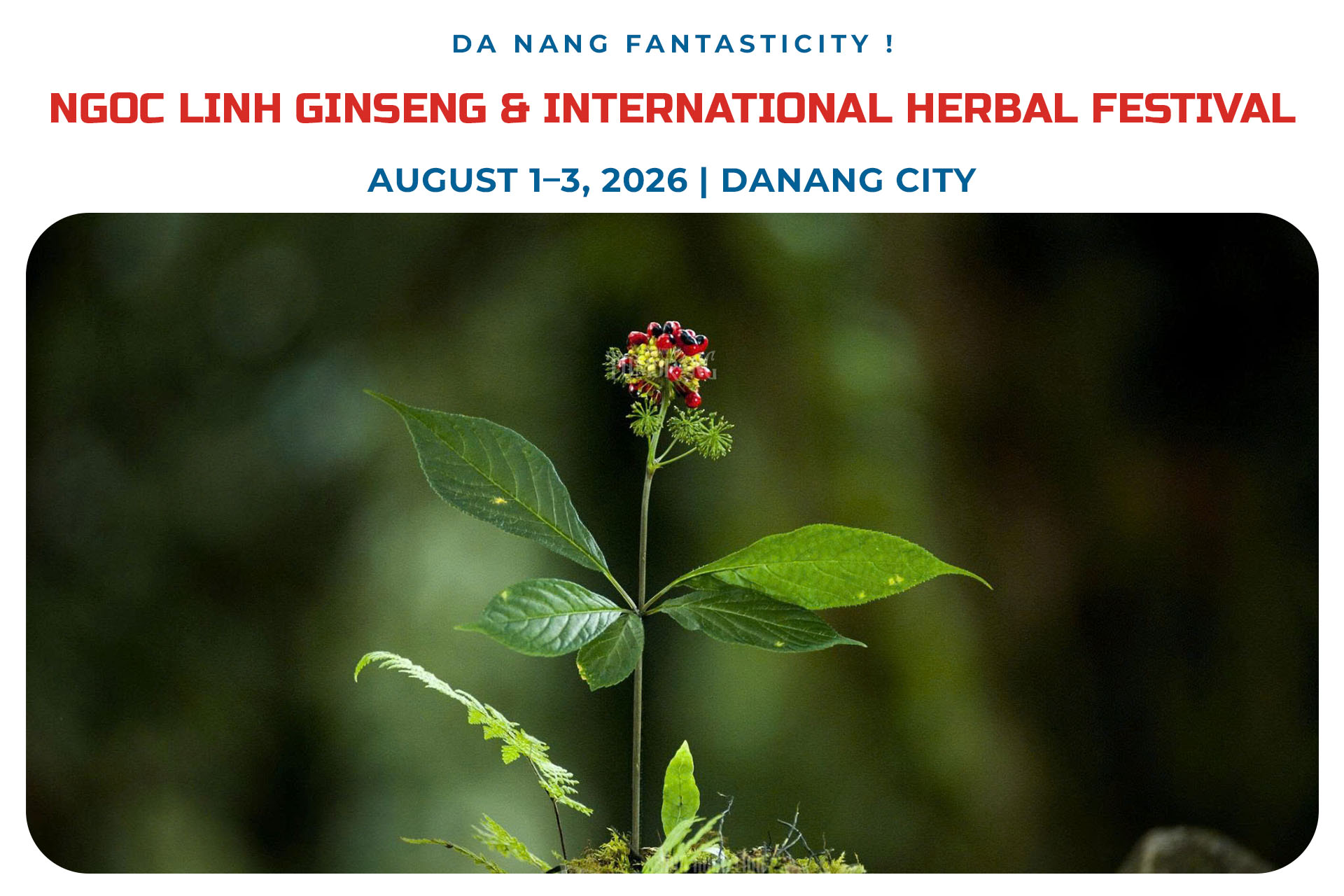Danang 2026: The Official Events & Festivals Calendar - Cổng thông tin ...