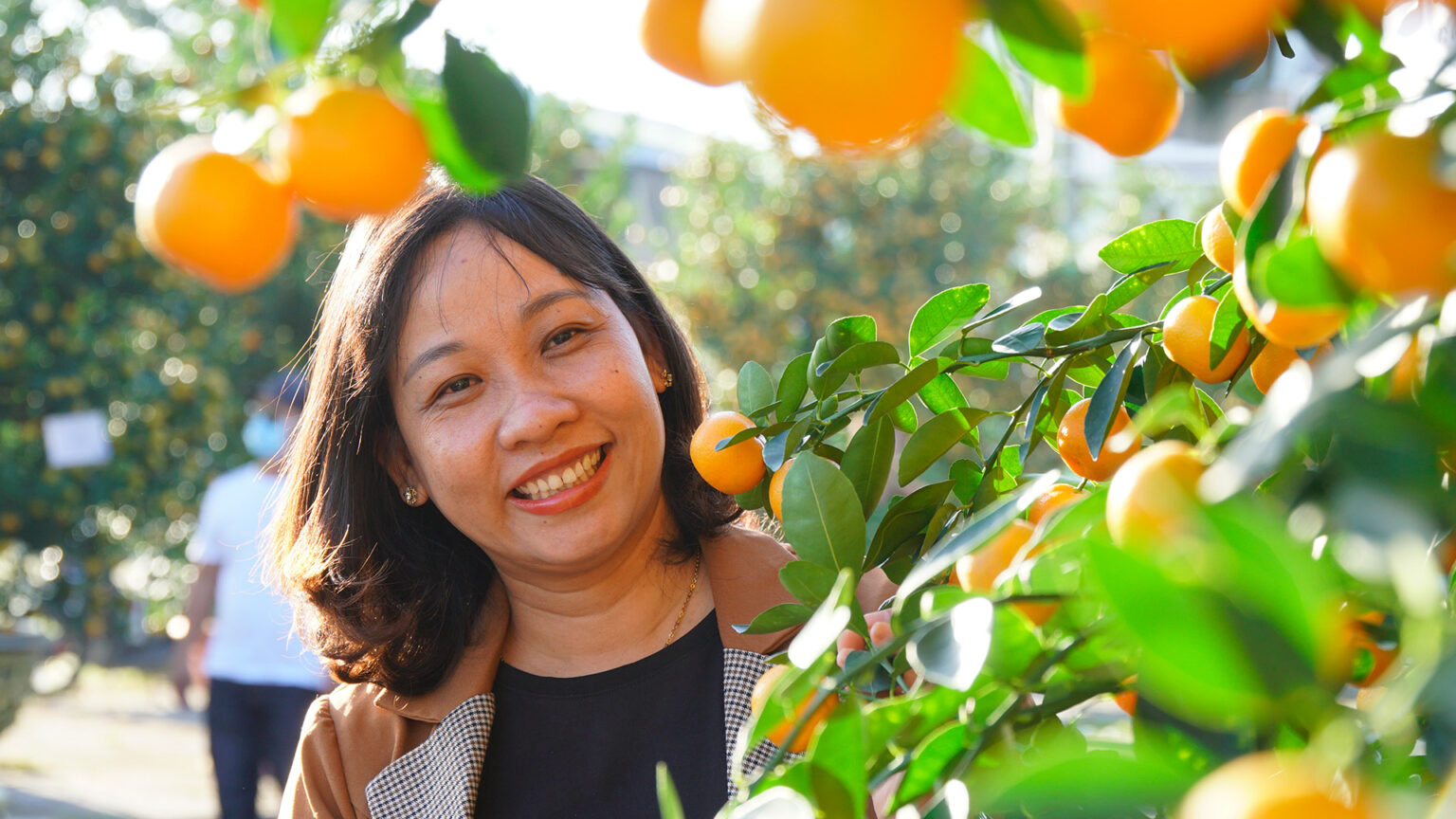 Touching Spring in Da Nang at the 10th Cam Ha Ornamental Kumquat ...