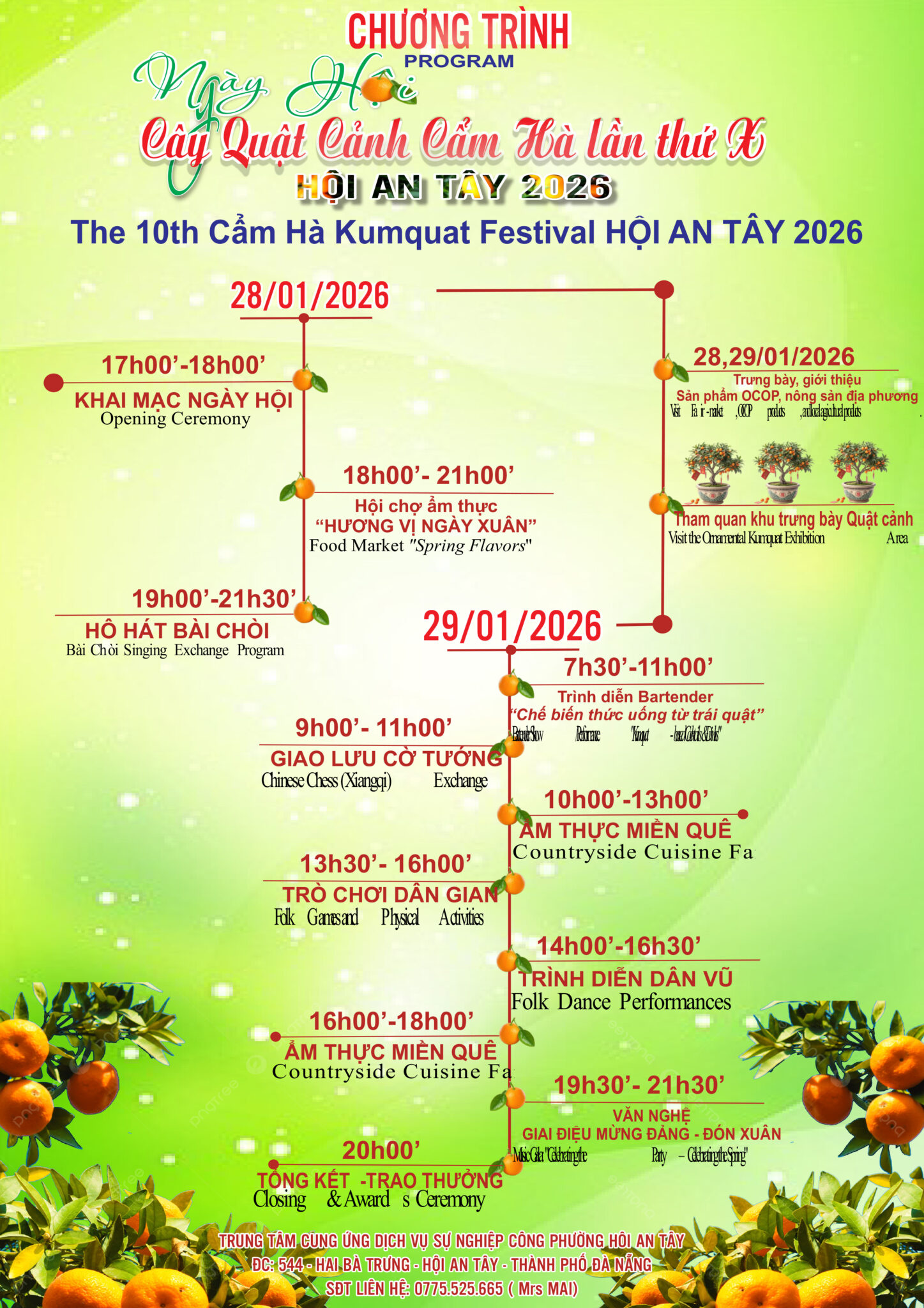 Touching Spring in Da Nang at the 10th Cam Ha Ornamental Kumquat ...