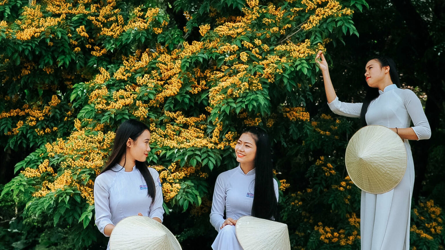 Huong Tra Communal House Festival 2026 – Touching the original spring ...