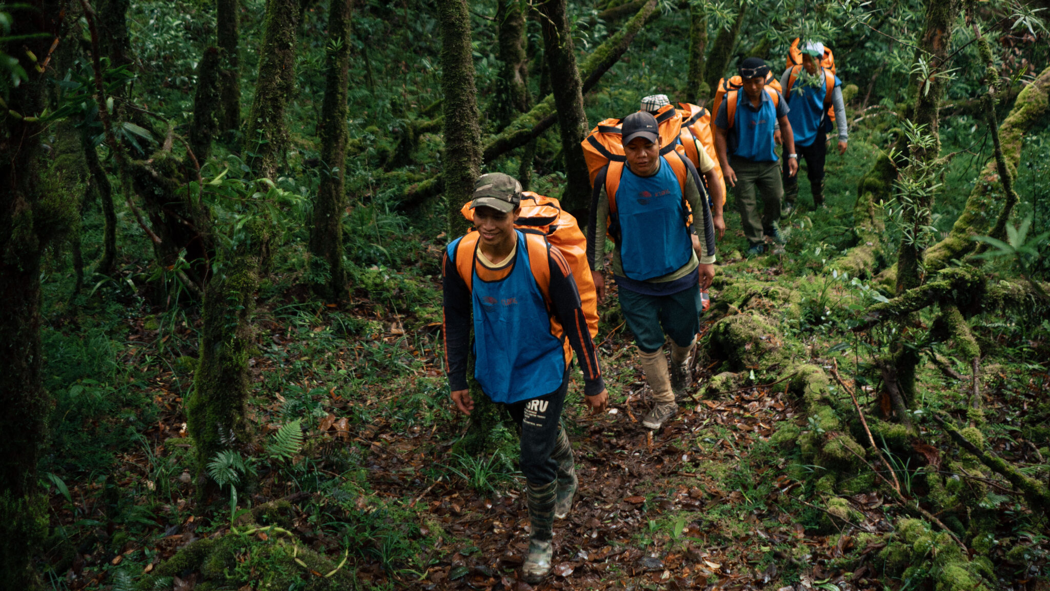 Forest Thanksgiving Opening Festival 2026 – A Journey to Touch the ...