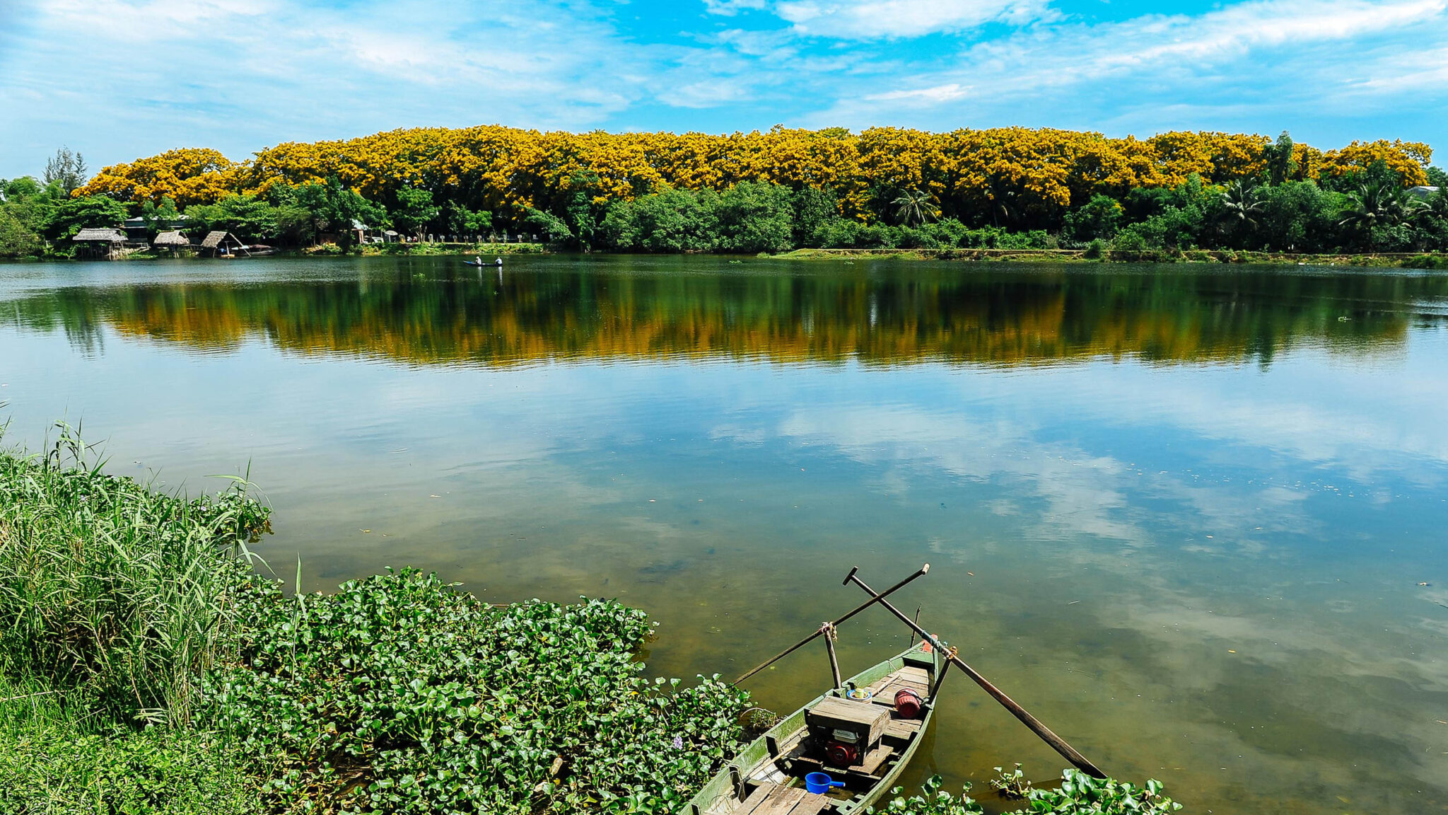 Touch the Moments of Da Nang at the “Huong Tra Yellow Blossom Festival ...